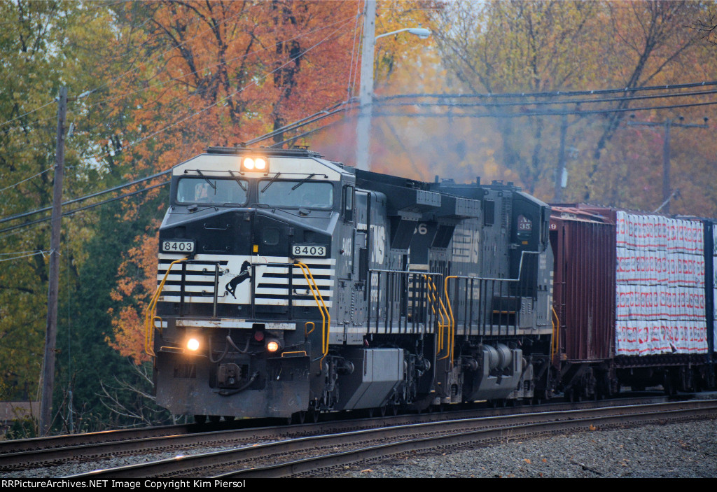 NS 8403 H68